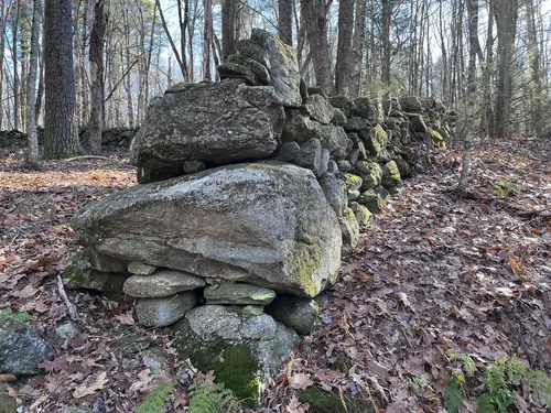 Best Hikes and Trails in Harvard Forest | AllTrails