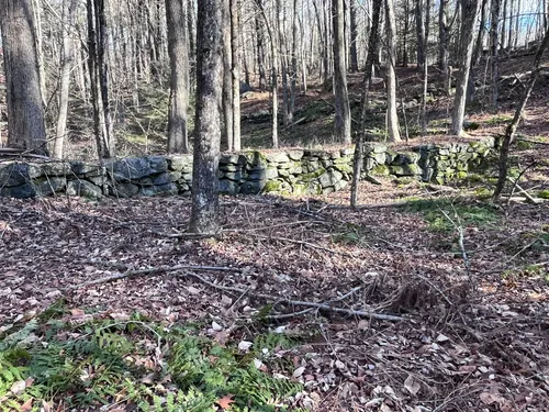 Best Hikes and Trails in Harvard Forest | AllTrails