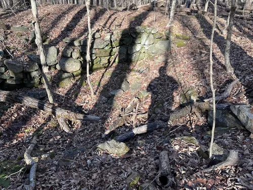 Best Hikes and Trails in Harvard Forest | AllTrails