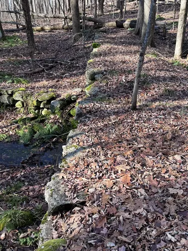 Best Hikes and Trails in Harvard Forest | AllTrails