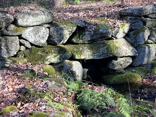 Best Hikes and Trails in Harvard Forest | AllTrails