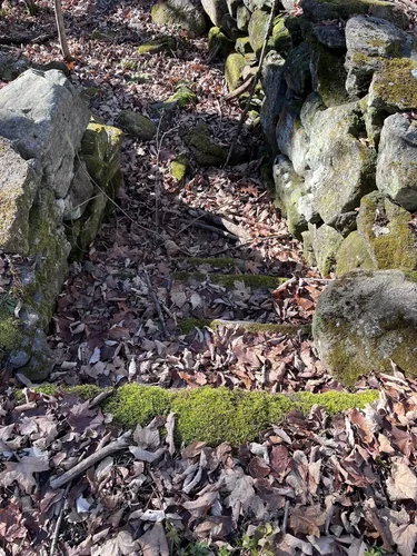 Best Hikes and Trails in Harvard Forest | AllTrails