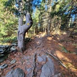 Mount Watatic and Nutting Hill via Wapack Trail, Massachusetts - 2,669 ...