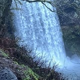 South Falls and Maple Ridge Loop, Oregon - 1,878 Reviews, Map | AllTrails