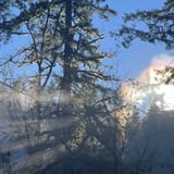 South Falls and Maple Ridge Loop, Oregon - 1,878 Reviews, Map | AllTrails