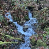 South Falls and Maple Ridge Loop, Oregon - 1,878 Reviews, Map | AllTrails