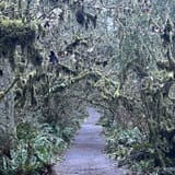 South Falls and Maple Ridge Loop, Oregon - 1,878 Reviews, Map | AllTrails