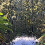 South Falls and Maple Ridge Loop, Oregon - 1,878 Reviews, Map | AllTrails