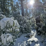 Wolf Rocks Trail, Pennsylvania - 1,272 Reviews, Map | AllTrails