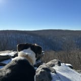 Wolf Rocks Trail, Pennsylvania - 1,272 Reviews, Map | AllTrails