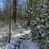 Wolf Rocks Trail, Pennsylvania - 1,272 Reviews, Map | AllTrails