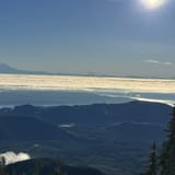 Mount Ellinor Trail, Washington - 2,598 Reviews, Map | AllTrails