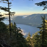 Mount Ellinor Trail, Washington - 2,598 Reviews, Map | AllTrails