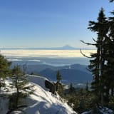 Mount Ellinor Trail, Washington - 2,598 Reviews, Map | AllTrails