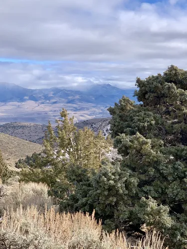 Best Off Road Driving Trails in Washoe Valley | AllTrails