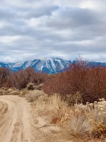 Best Off Road Driving Trails in Washoe Valley | AllTrails