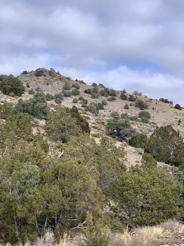 Best Off Road Driving Trails in Washoe Valley | AllTrails