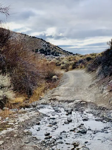 Best Off Road Driving Trails in Washoe Valley | AllTrails