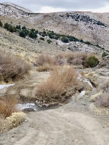 Best Off Road Driving Trails in Washoe Valley | AllTrails