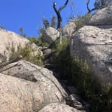Genoa Peak Walk, Victoria, Australia - 124 Reviews, Map | AllTrails