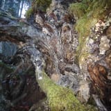 Nolte State Park Deep Lake, Washington - 580 Reviews, Map | AllTrails