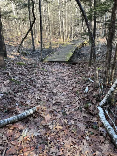 Best Hikes and Trails in Harvard Forest | AllTrails