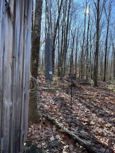 Best Hikes and Trails in Harvard Forest | AllTrails