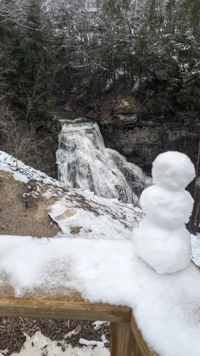 Best Hikes and Trails in Delphi Falls Park | AllTrails