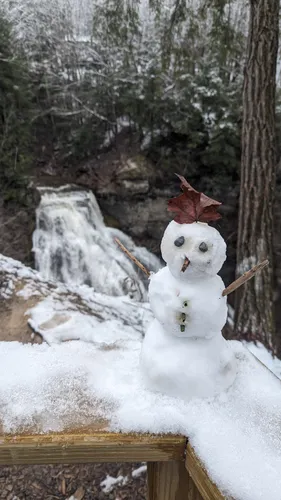 Best Hikes and Trails in Delphi Falls Park | AllTrails