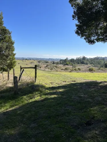 Best Walking Trails in Pogonip Open Space Preserve | AllTrails