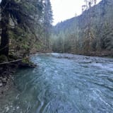Duckabush River Trail to Five Mile Camp, Washington - 841 Reviews, Map ...