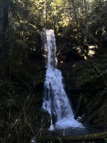 Best Camping Trails in Dorena | AllTrails