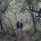 B'sorah Trail, North West, South Africa - 244 Reviews, Map | AllTrails