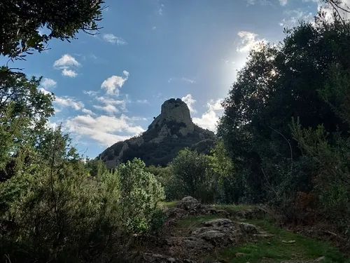 Best Hikes and Trails in Massane Forest Nature Reserve | AllTrails