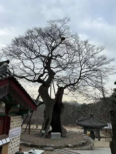 Best Historic Site Trails in Jung-gu | AllTrails