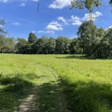 ChesLen Preserve Yellow Loop, Pennsylvania - 640 Reviews, Map | AllTrails