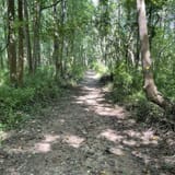 ChesLen Preserve Yellow Loop, Pennsylvania - 640 Reviews, Map | AllTrails