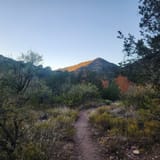 Haunted Canyon Trail to Toney Ranch, Arizona - 366 Reviews, Map | AllTrails