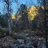 Haunted Canyon Trail to Toney Ranch, Arizona - 366 Reviews, Map | AllTrails