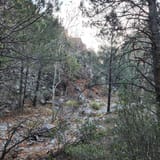 Haunted Canyon Trail to Toney Ranch, Arizona - 394 Reviews, Map | AllTrails