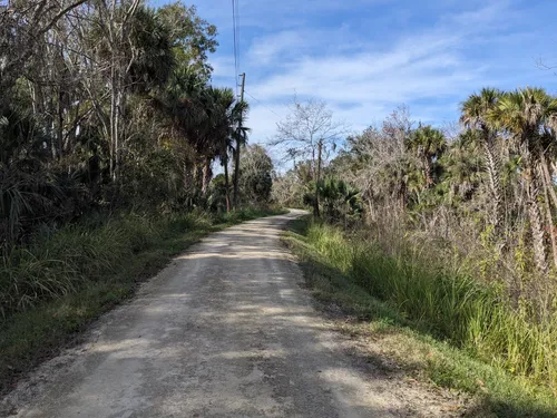 Best Hikes and Trails in Emeralda Marsh Conservation Area | AllTrails