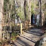 Anna Ruby Falls Trail, Georgia - 1,547 Reviews, Map | AllTrails