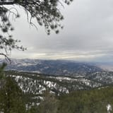 Green Mountain West Ridge Trail, Colorado - 5,957 Reviews, Map | AllTrails