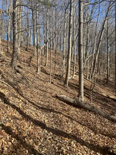 Best Hikes and Trails in Hinder Area | AllTrails