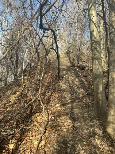 Best Hikes and Trails in Hinder Area | AllTrails
