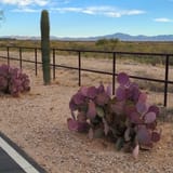 The Chuck Huckelberry Loop (aka Tucson Loop Trail), Arizona - 563 ...