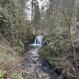 Hidden Falls Nature Park Trail, Oregon - 541 Reviews, Map | AllTrails