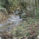 Hidden Falls Nature Park Trail, Oregon - 496 Reviews, Map | AllTrails