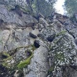 Lyons Dam, California - 511 Reviews, Map | AllTrails