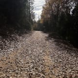 Lyons Dam, California - 561 Reviews, Map | AllTrails